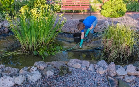 Visvijver aanleggen: Zo doe je dat - Vijverdesign